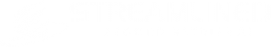 Streamlined Record Retrieval | We Promise, We Deliver!